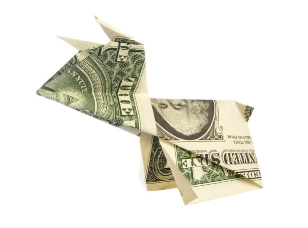 How the ASPCA Spends Revenue (2024) | Paddock Post