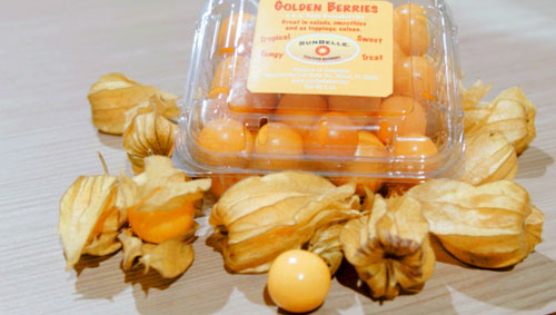 Golden Berries and Golden Berry Relish | Paddock Post